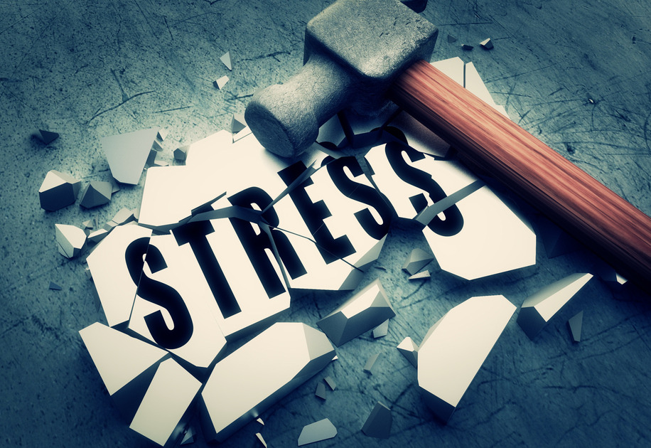 Stress Management Training - De Vechtschool